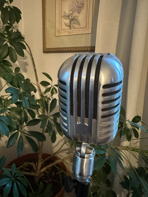 1940's Turner 101A Ribbon/Dynamic Microphone – Byrd Finds
